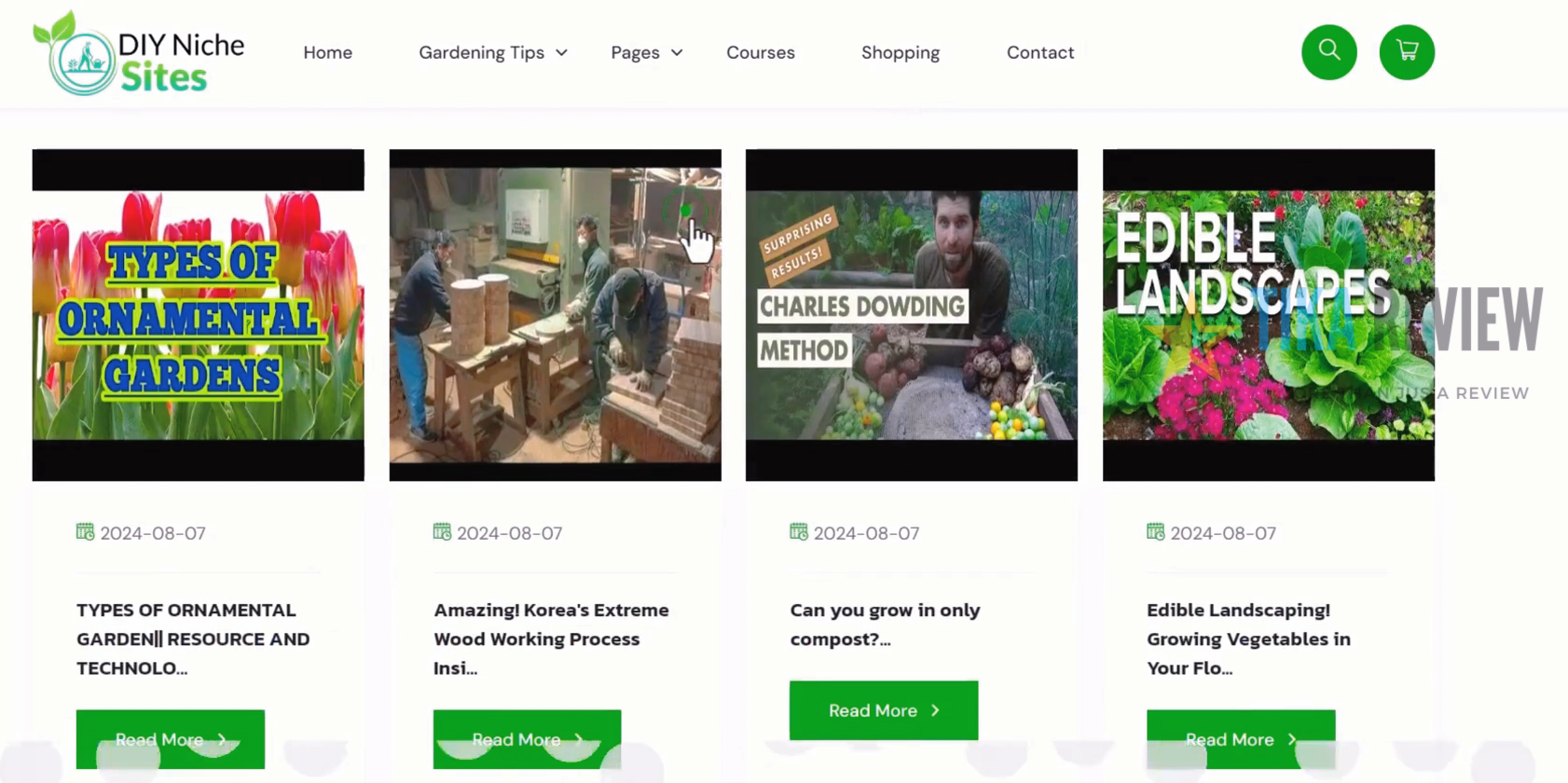 DIY Niche Sites Review: AI-Powered Website Builder 2024