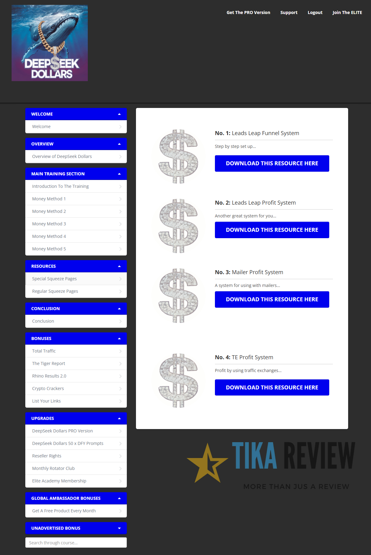 DeepSeek Dollars Review: Is It Worth Your Investment?