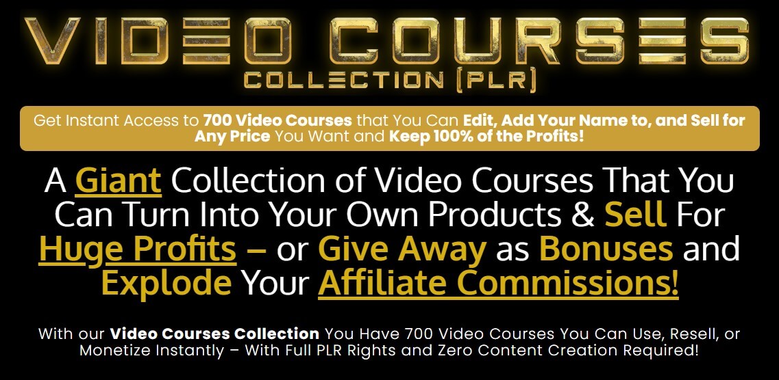 Video Courses Collection [PLR] Review: 700 Profit Courses