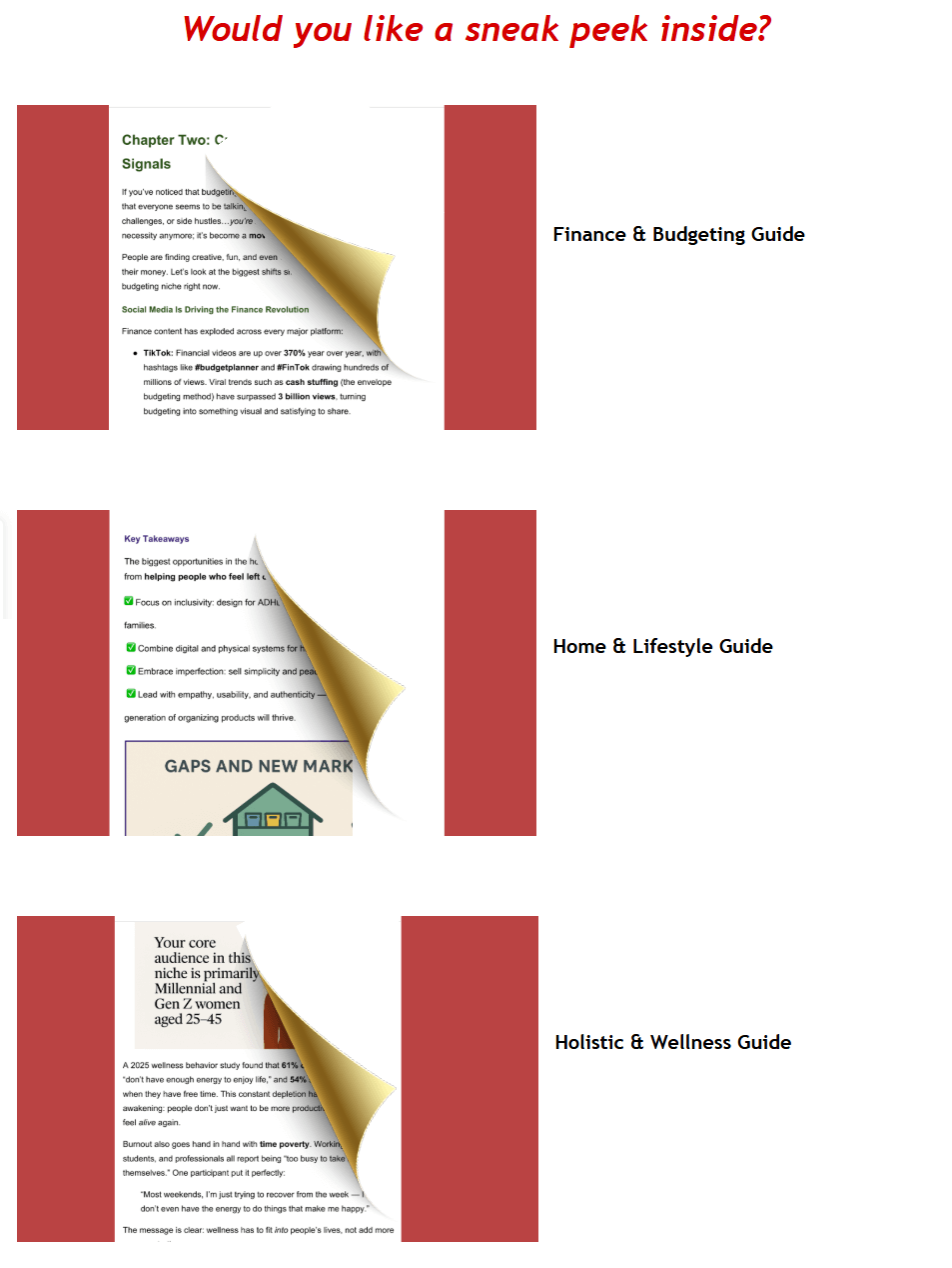 Instant Expert Niche Kits Review: Complete Niche Solution